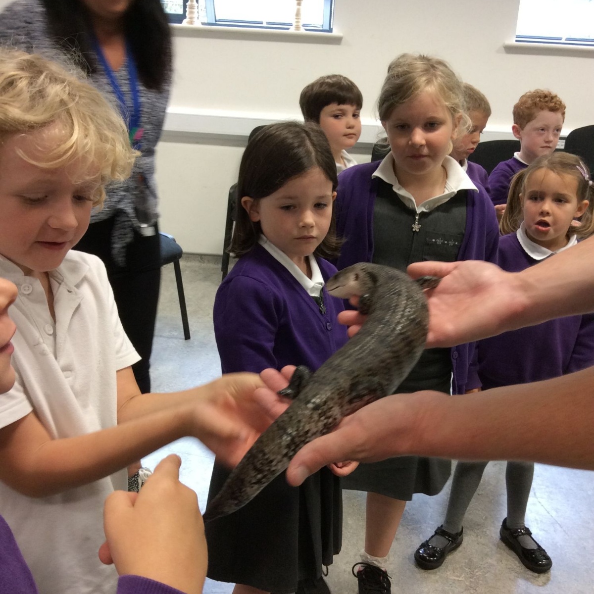 High Bickington C of E Academy - The Reptile Man visit